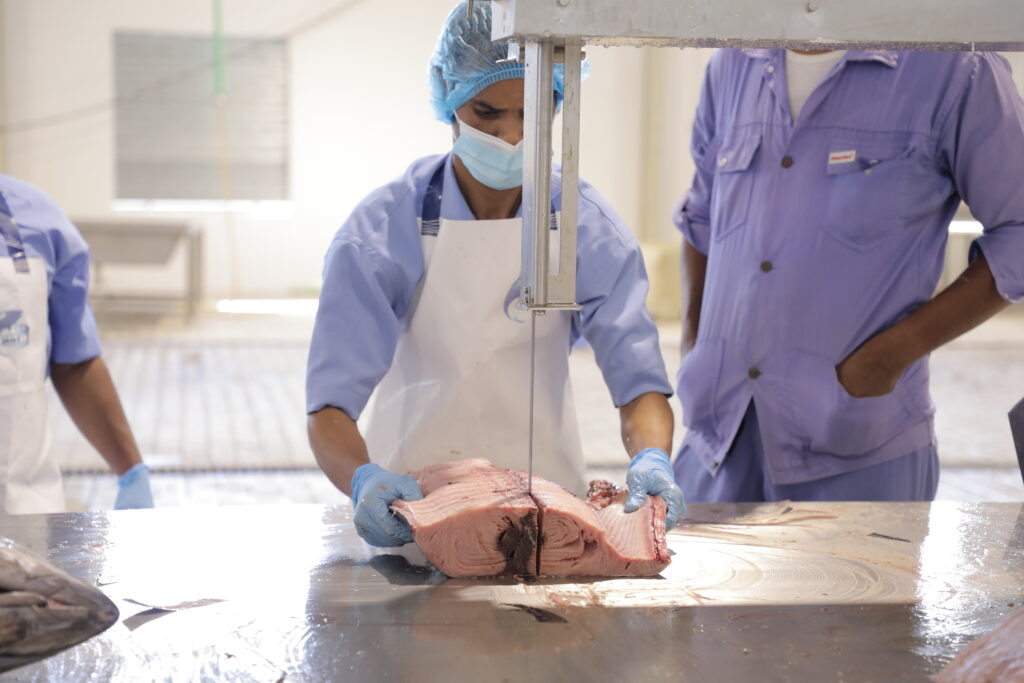 Tuna Processes – Aegan International DMCC
