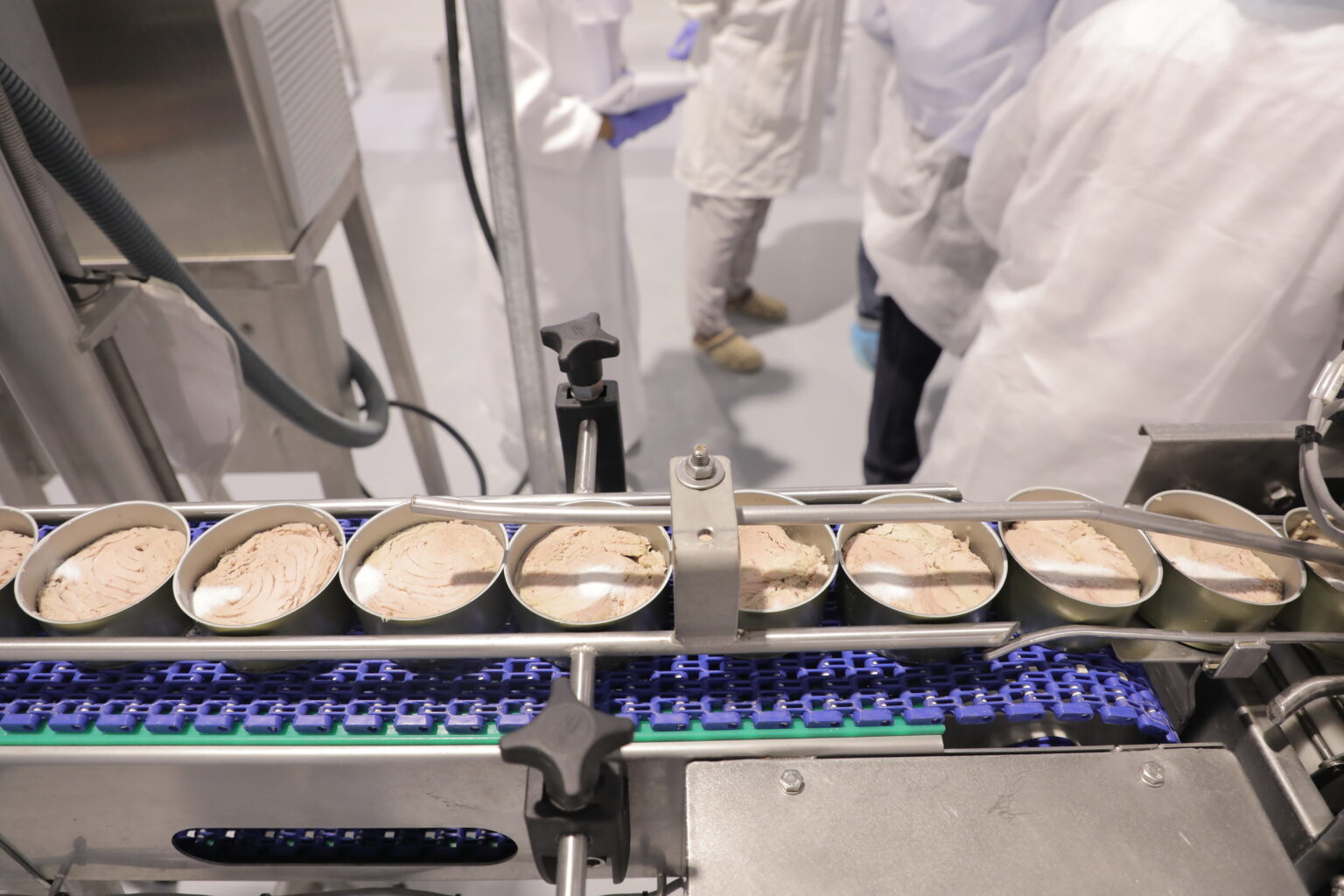 Tuna Processes – Aegan International DMCC